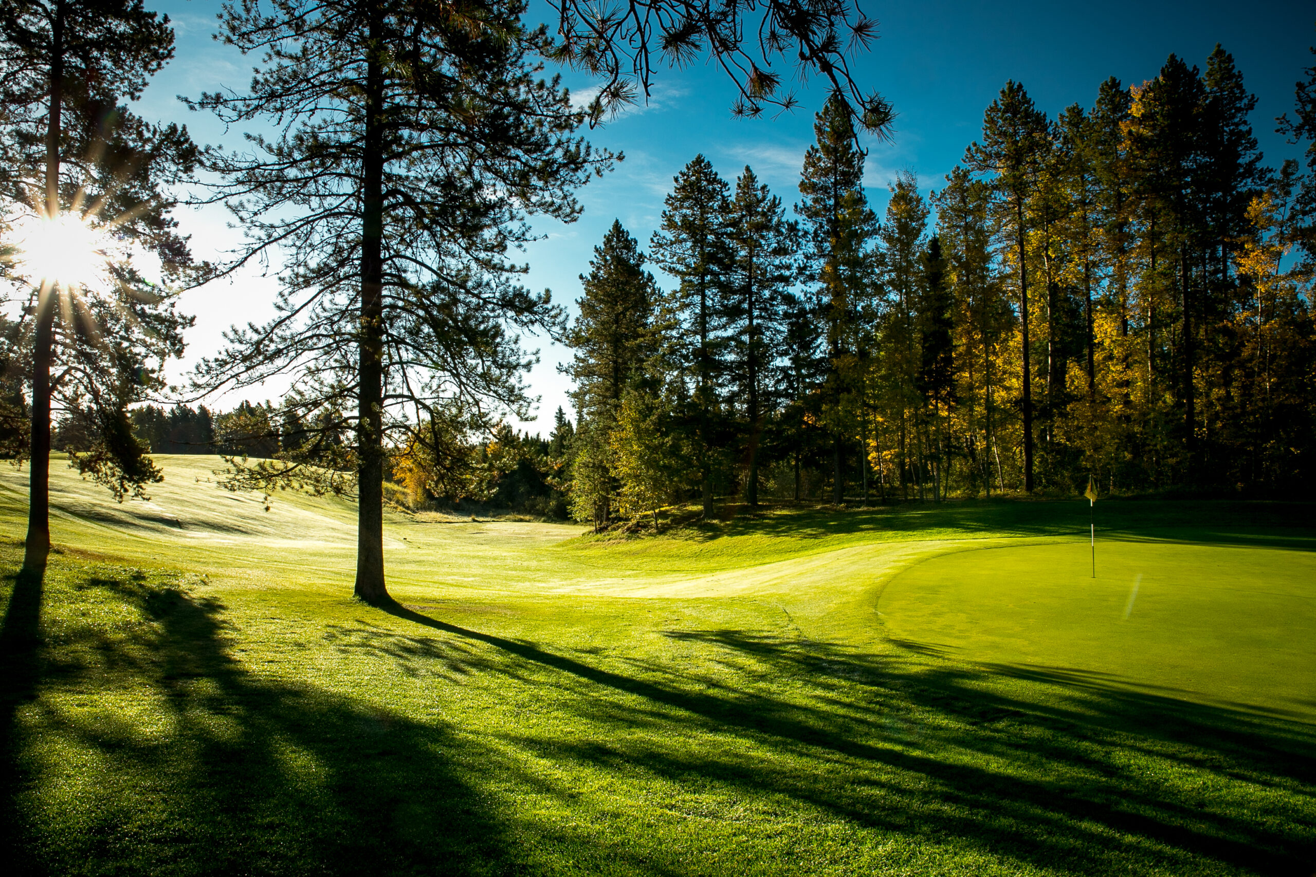 Pine Hills Golf Club to host 2024 Alberta Women’s Senior Championship ...