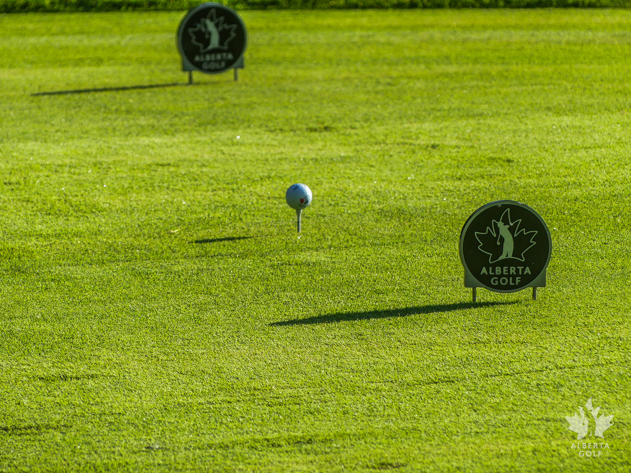 What is an Active Posting Season? - Alberta Golf