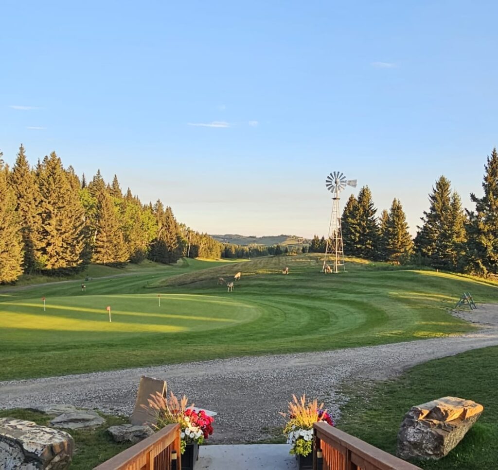 Alberta’s Best 9-Hole Courses - Alberta Golf