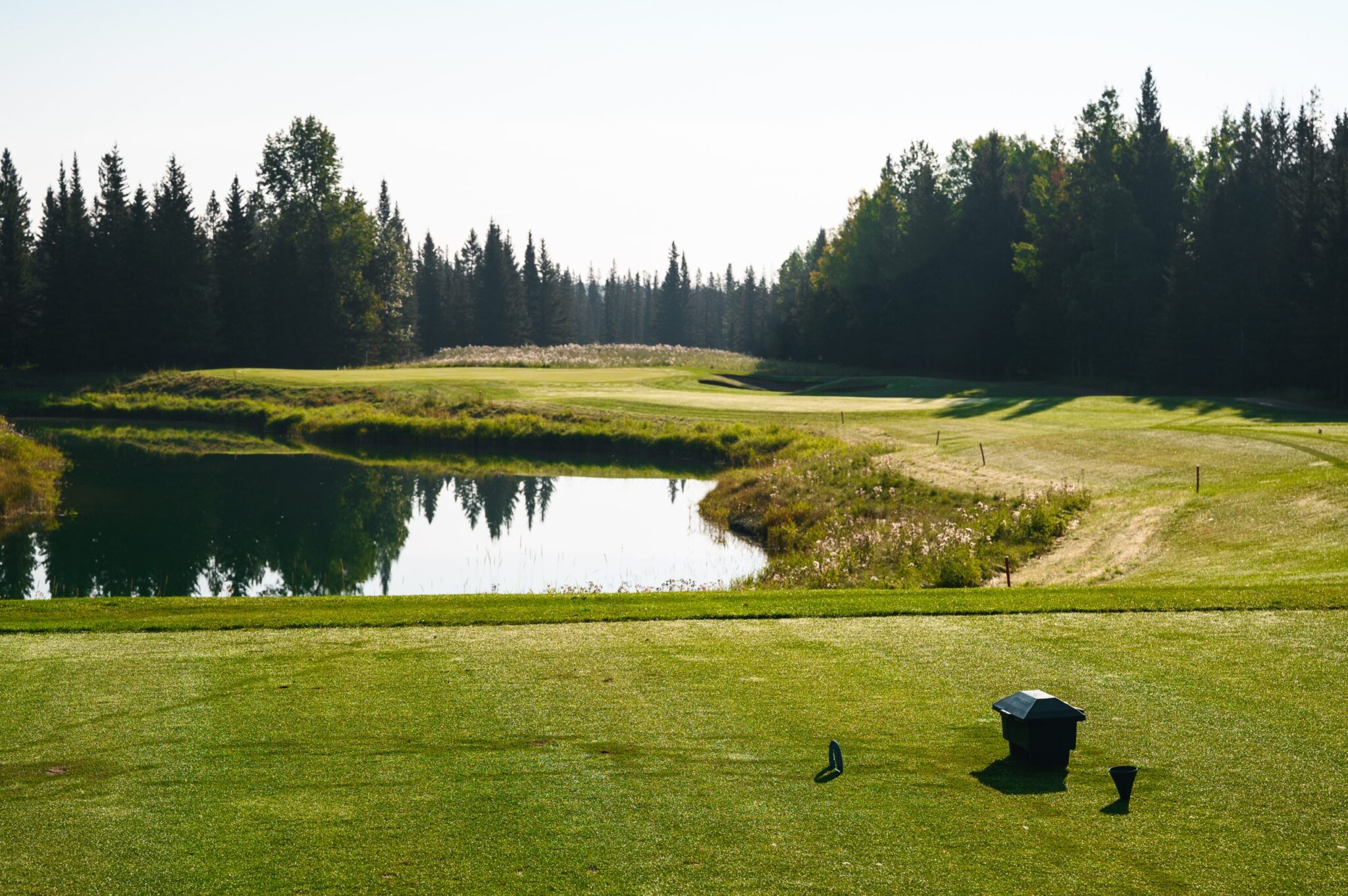 2026 U19 Championship Host Club Spotlight: The Coyote - Alberta Golf